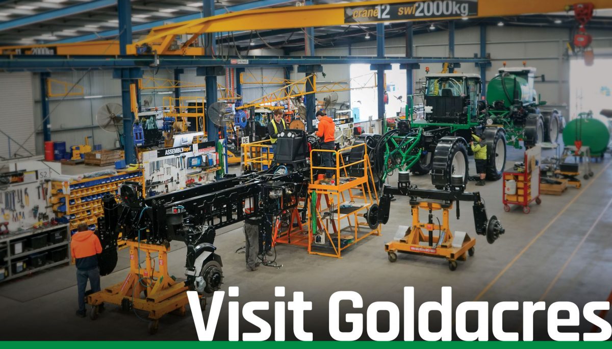 Goldacres – Goldacres